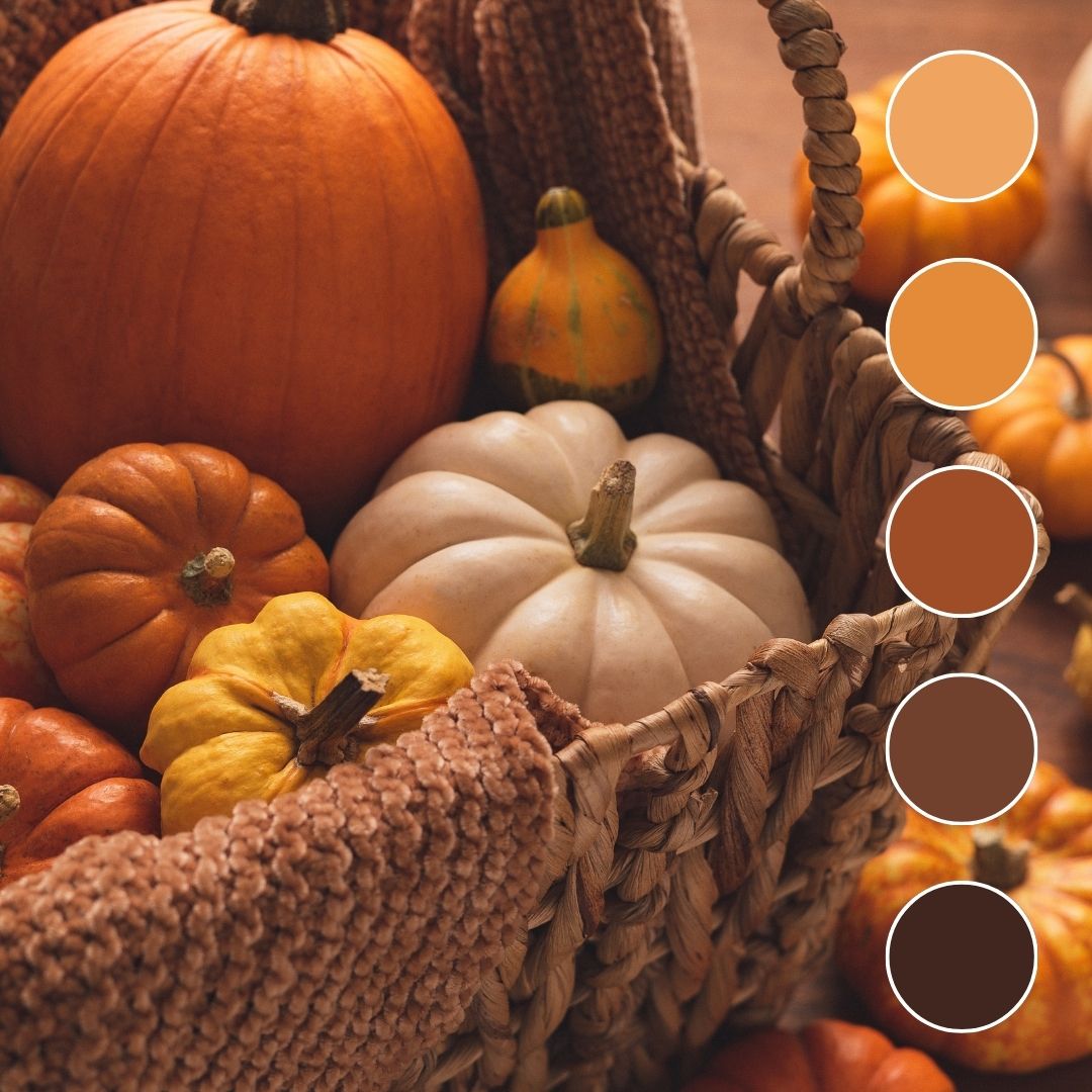 A Feast for the Eyes! Fall Mood Boards and Color Palette Inspiration ...