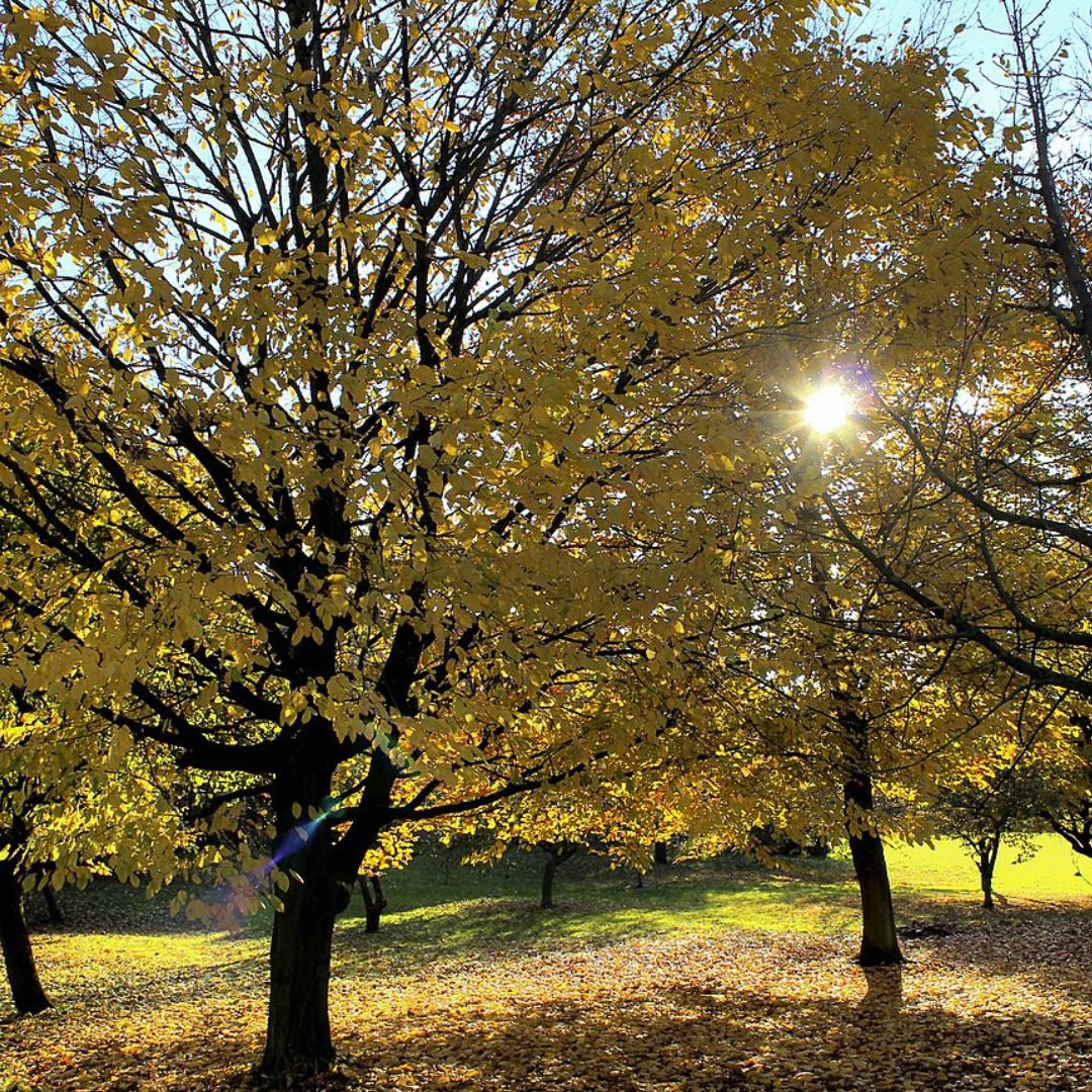 September Musings…. — Beadaholique